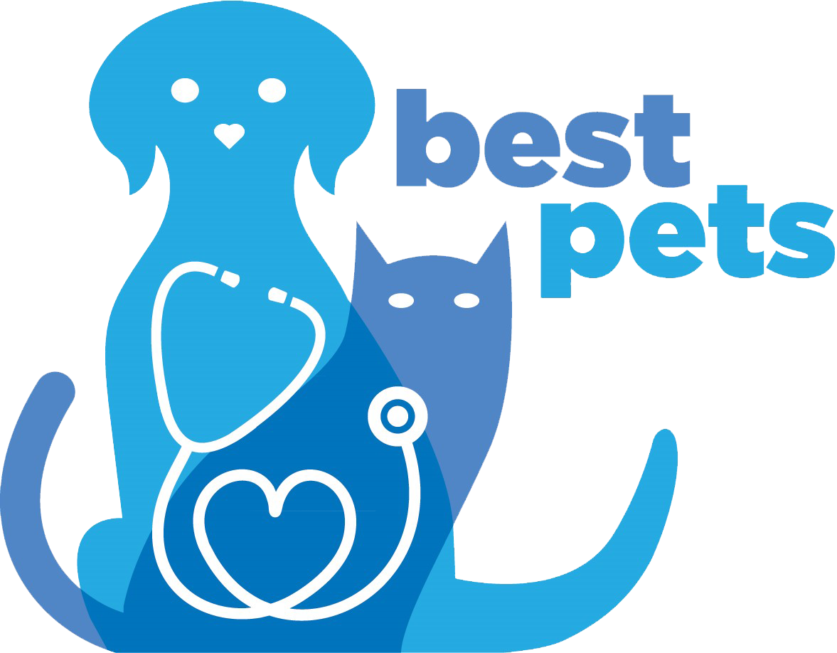 Exotic Pet Care In Georgetown KY Best Pets Animal Clinic